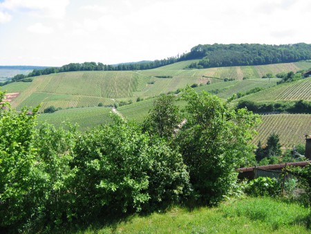 Abstatt :: Jumelage Dinan- Léhon / Abstatt / Kahemba